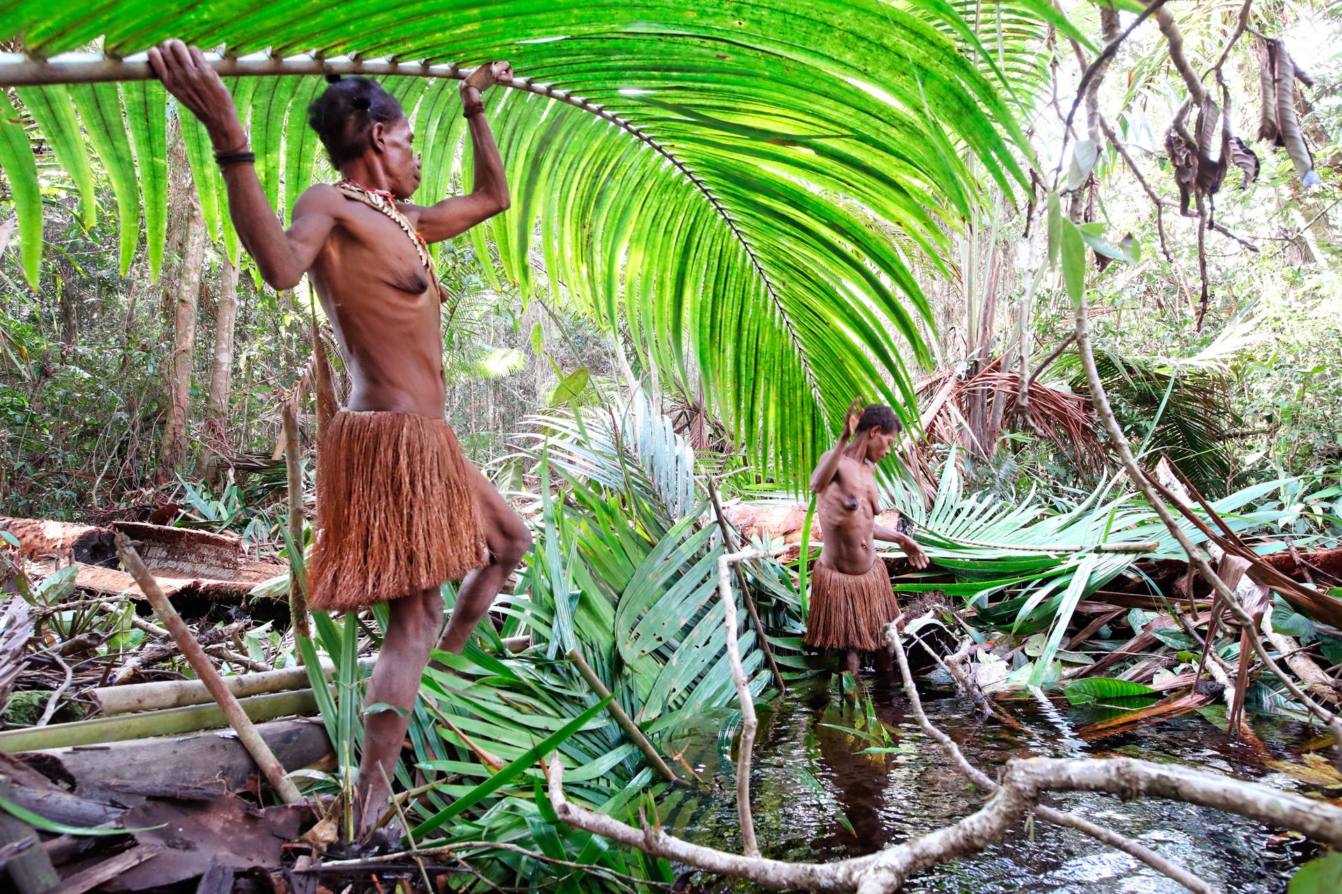 Facts About Korowai Tribe in Southern Papua | Authentic Indonesia Blog