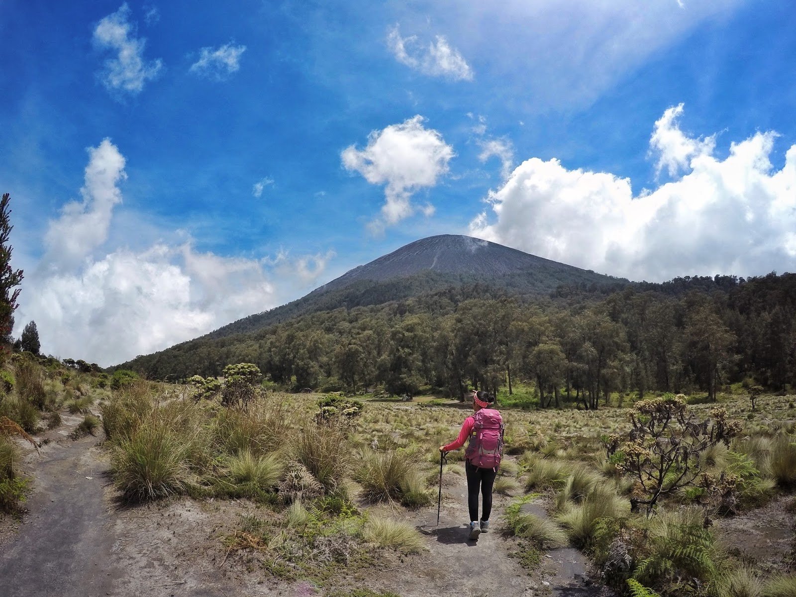 Essential Tips Before Mount Semeru Trekking | Authentic Indonesia Blog